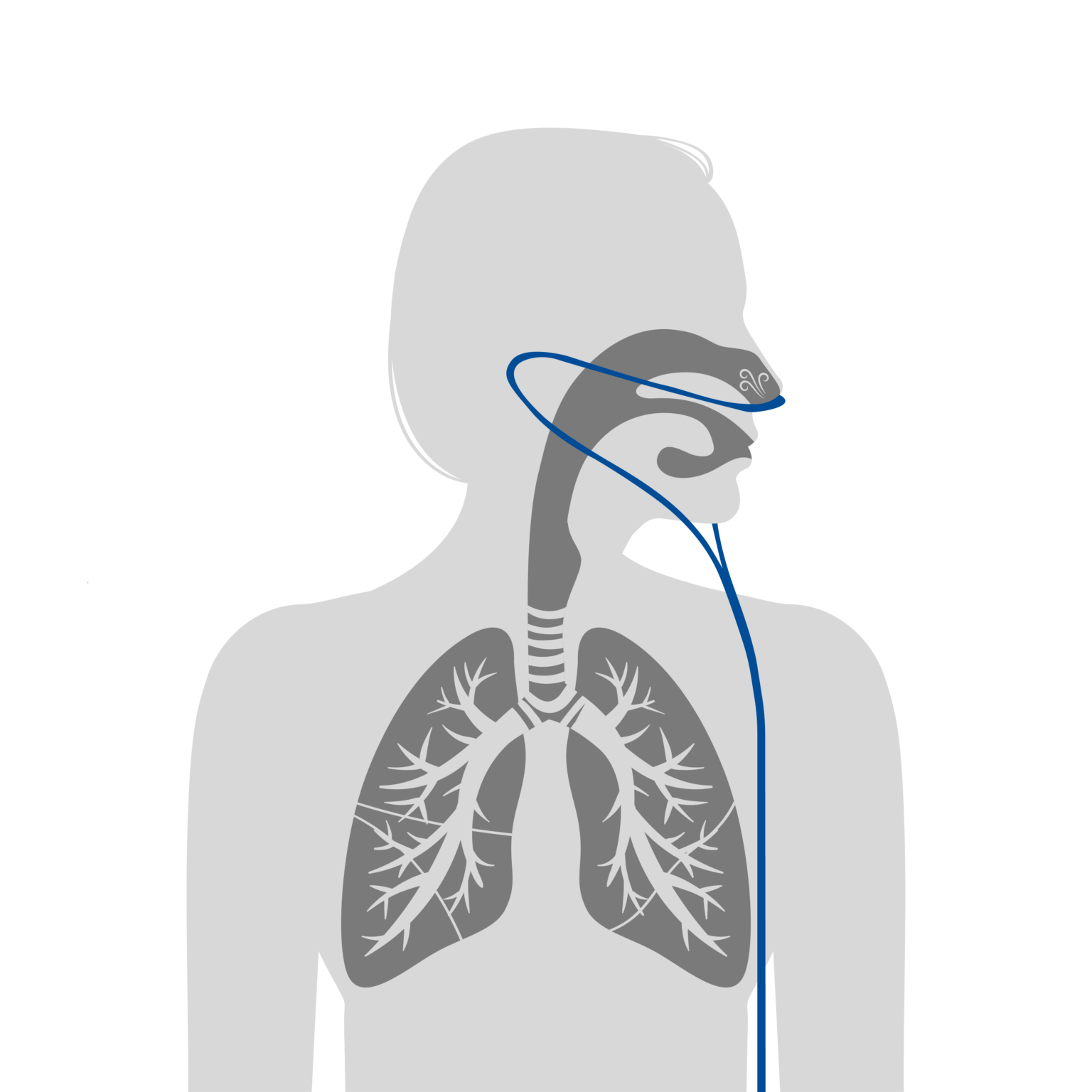 Oxygen Education & COPD Blog | Inogen
